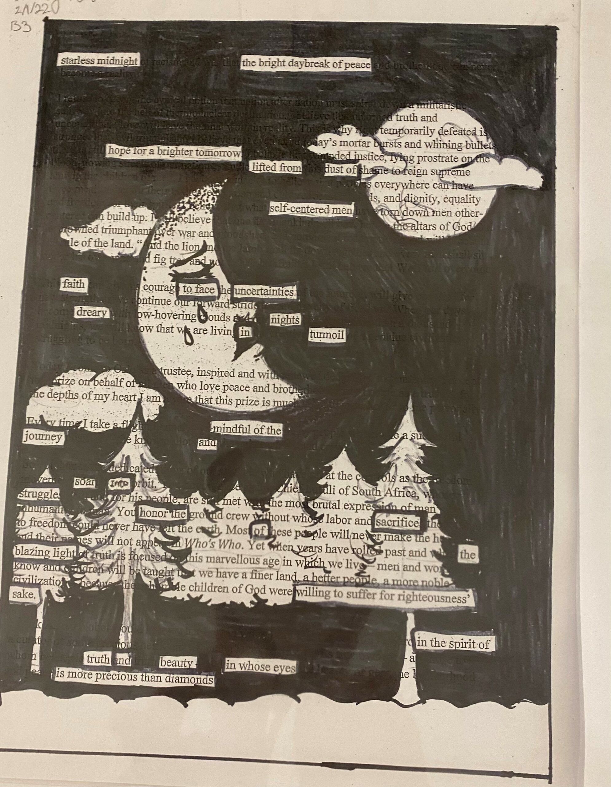 10th Grade Academy Blackout Poetry Assignment - Butler Tech