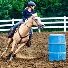 Kacee the Wonder Pony: A Legacy Still Teaching - Butler Tech